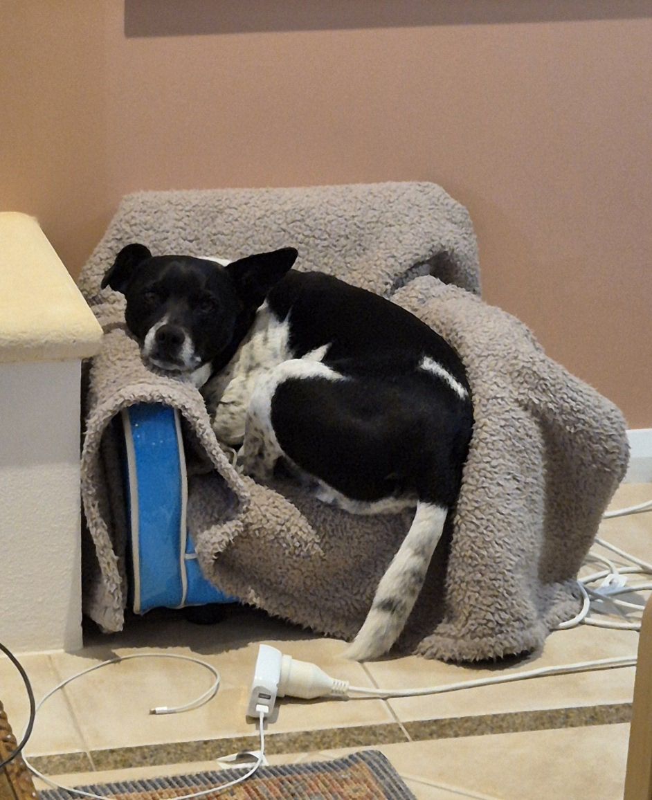 Travels with Ali – Travels around the world and daily life